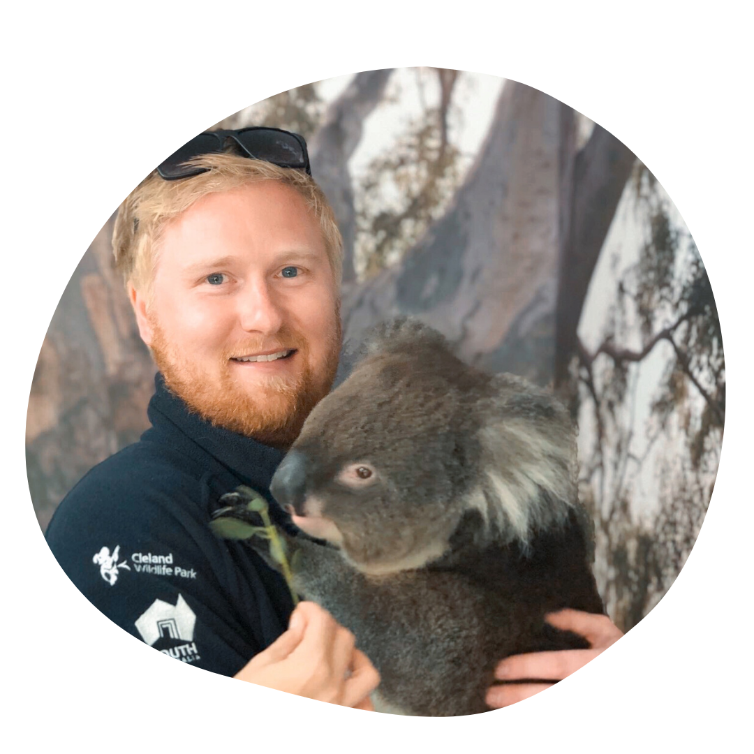 Ultimate Bucket List Ideas - A Shot Of The World